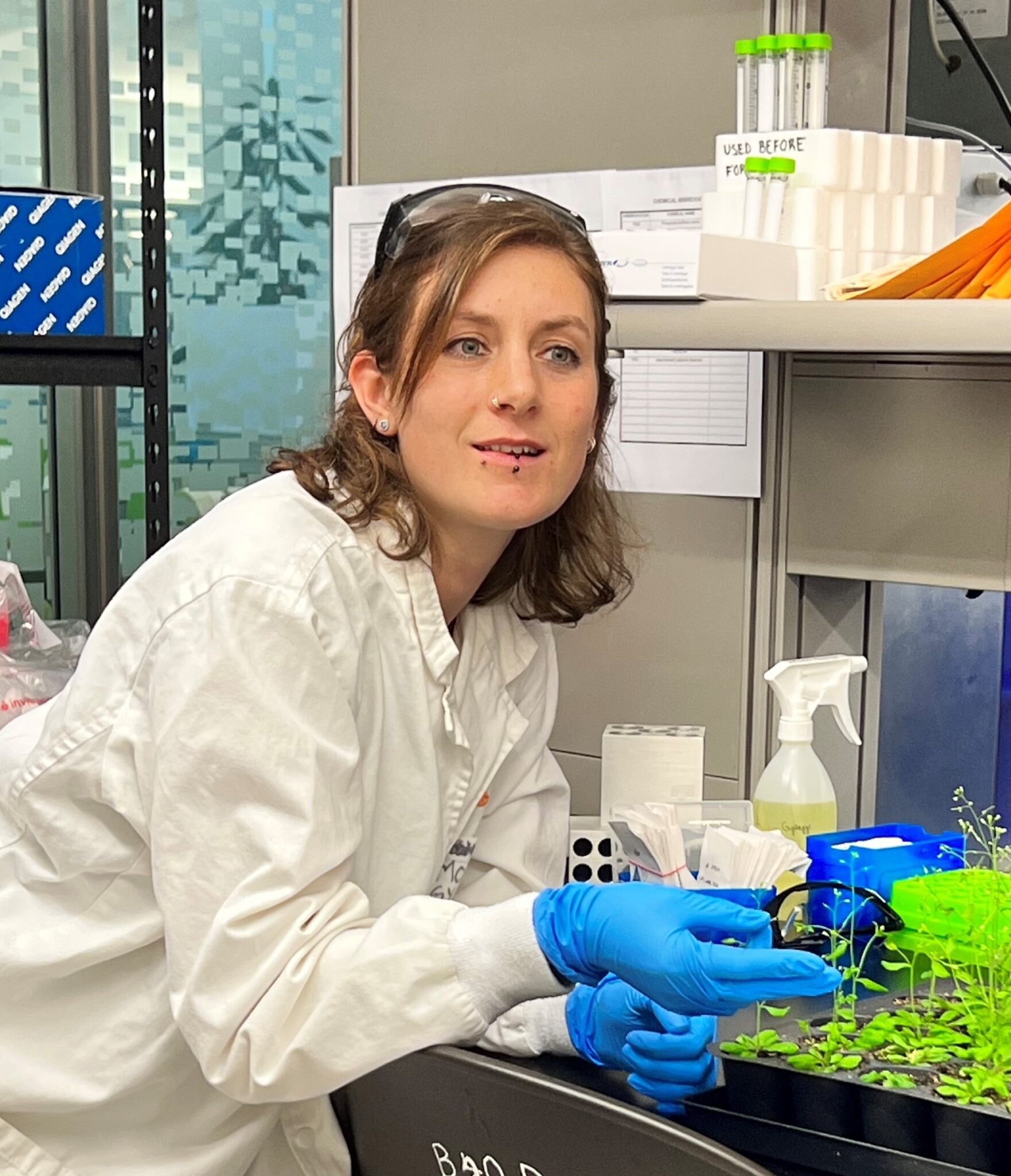 Our team - Barley Hub